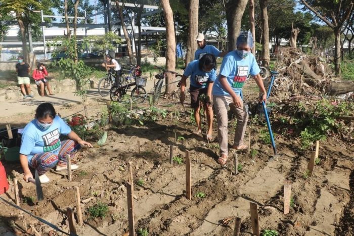 RISING COMMUNITY GARDEN, PHILIPPINES - V-Day